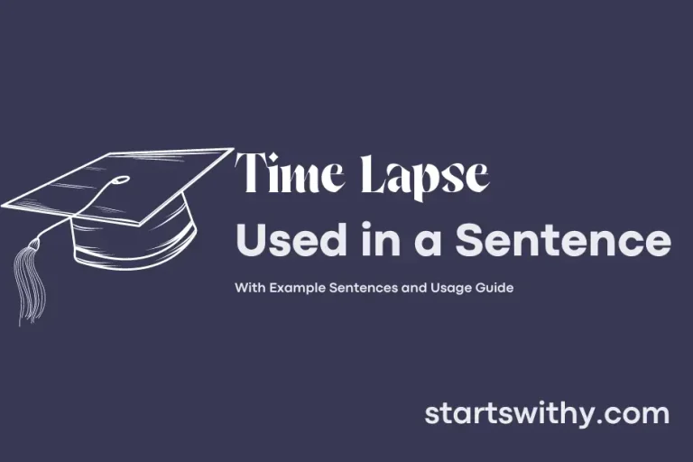 TIME LAPSE in a Sentence Examples: 21 Ways to Use Time Lapse