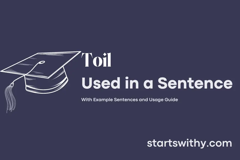 TOIL In A Sentence Examples 21 Ways To Use Toil