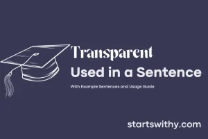 TRANSPARENT in a Sentence Examples: 21 Ways to Use Transparent