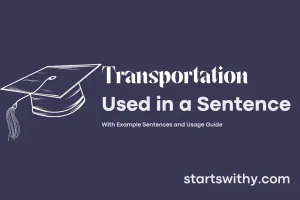 TRANSPORTATION in a Sentence Examples: 21 Ways to Use Transportation