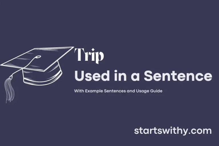 TRIP in a Sentence Examples: 21 Ways to Use Trip