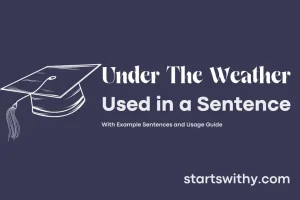 UNDER THE WEATHER in a Sentence Examples: 21 Ways to Use Under The Weather