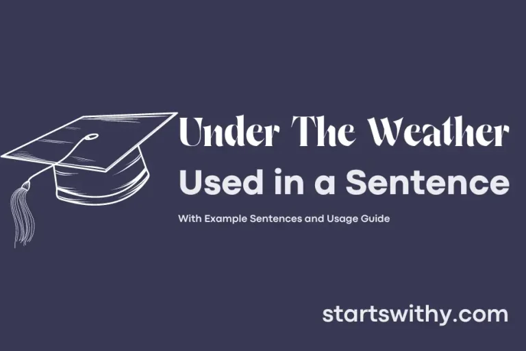 UNDER THE WEATHER in a Sentence Examples: 21 Ways to Use Under The Weather
