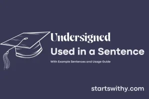 UNDERSIGNED in a Sentence Examples: 21 Ways to Use Undersigned