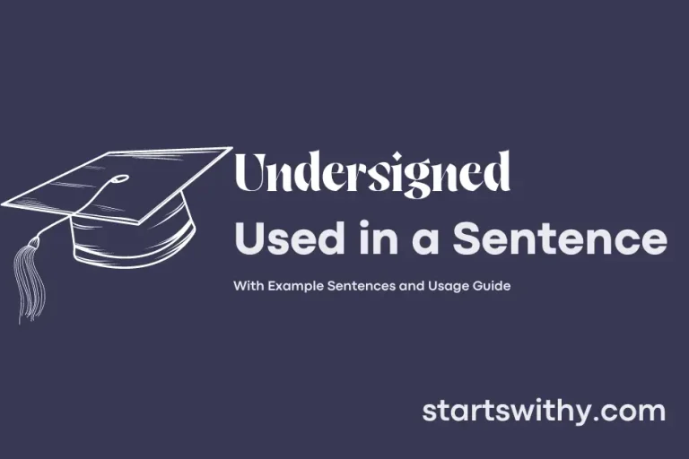UNDERSIGNED in a Sentence Examples: 21 Ways to Use Undersigned