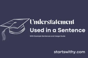 UNDERSTATEMENT in a Sentence Examples: 21 Ways to Use Understatement
