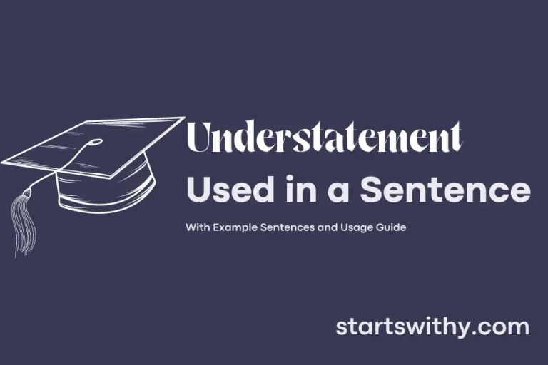 UNDERSTATEMENT in a Sentence Examples: 21 Ways to Use Understatement