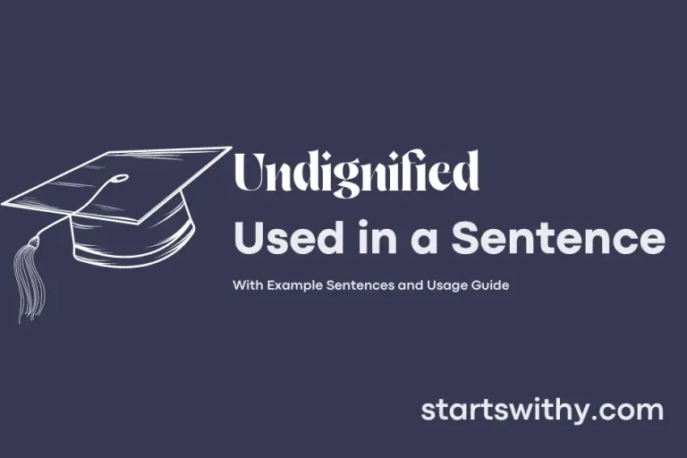 UNDIGNIFIED in a Sentence Examples: 21 Ways to Use Undignified