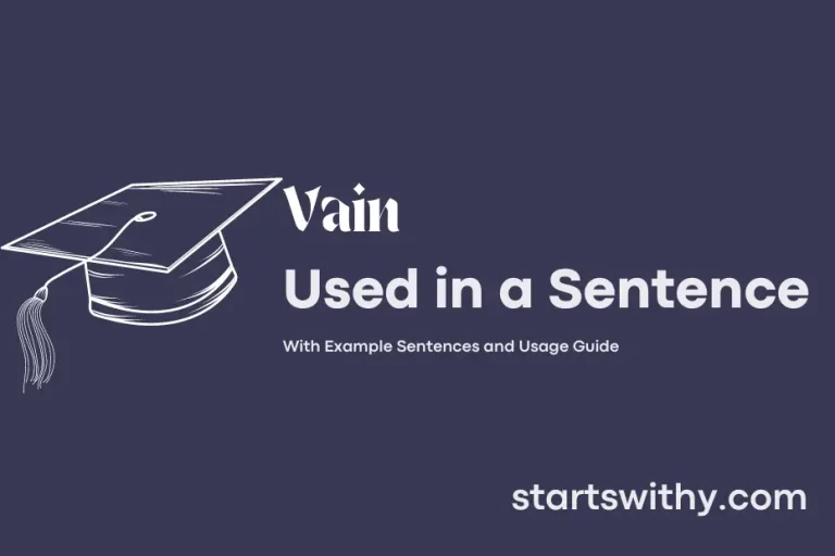 VAIN in a Sentence Examples: 21 Ways to Use Vain