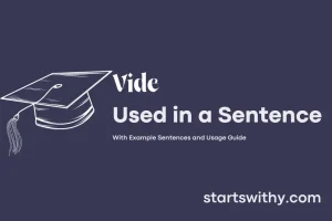 VIDE in a Sentence Examples: 21 Ways to Use Vide