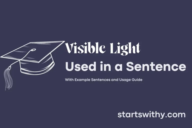 VISIBLE LIGHT in a Sentence Examples: 21 Ways to Use Visible Light