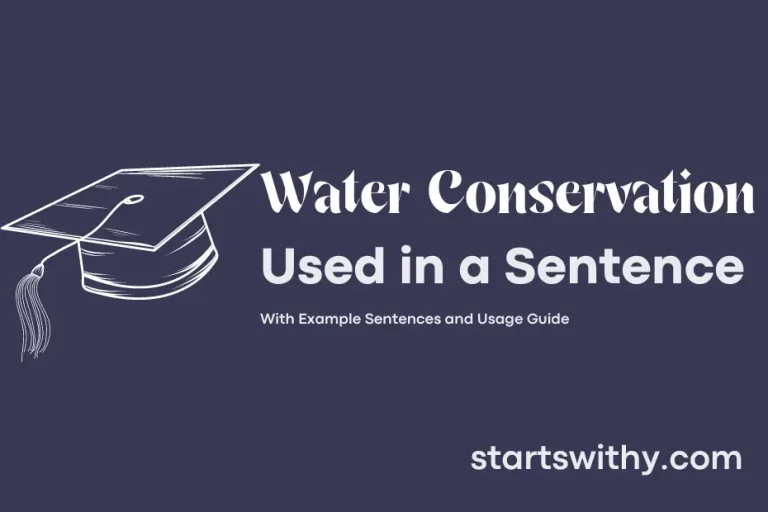 WATER CONSERVATION in a Sentence Examples: 21 Ways to Use Water ...