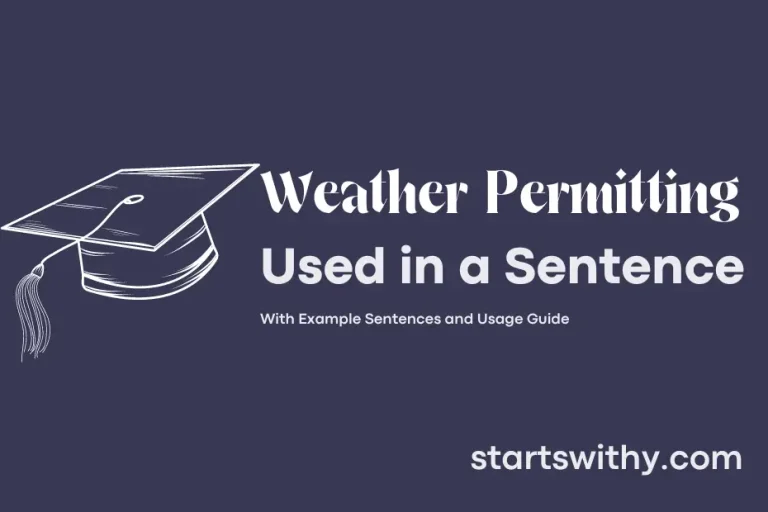 WEATHER PERMITTING in a Sentence Examples: 21 Ways to Use Weather ...