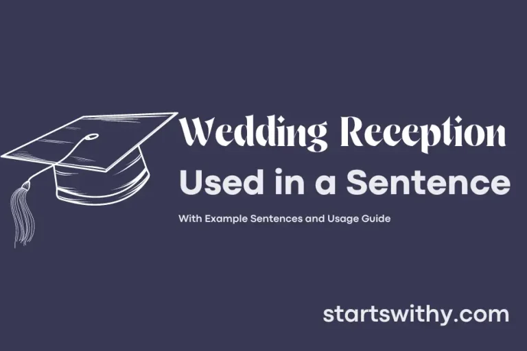 WEDDING RECEPTION in a Sentence Examples: 21 Ways to Use Wedding Reception