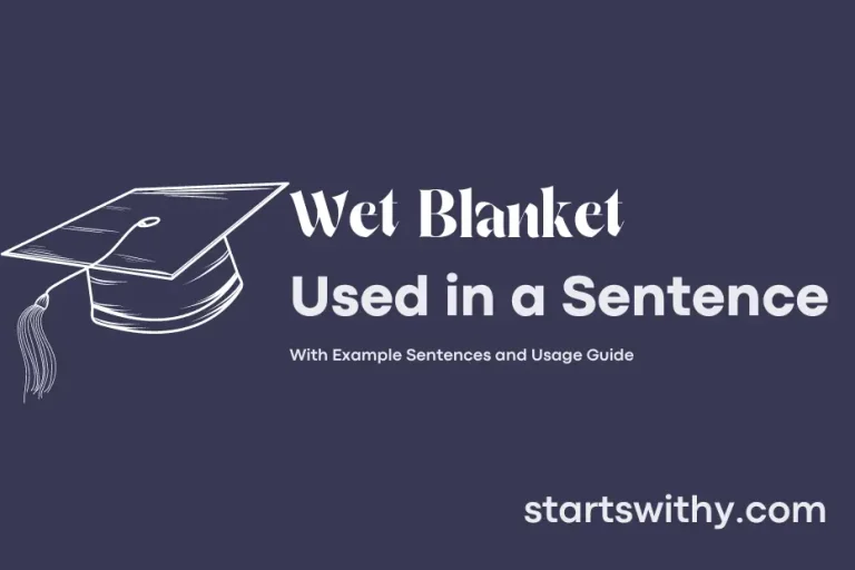 WET BLANKET in a Sentence Examples: 21 Ways to Use Wet Blanket
