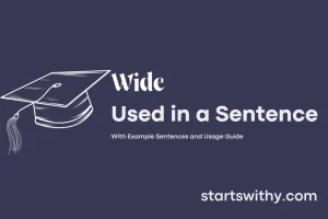 WIDE in a Sentence Examples: 21 Ways to Use Wide