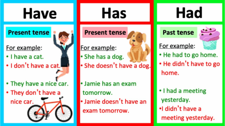 The Definitive Guide to "Has," "Have," and "Had"