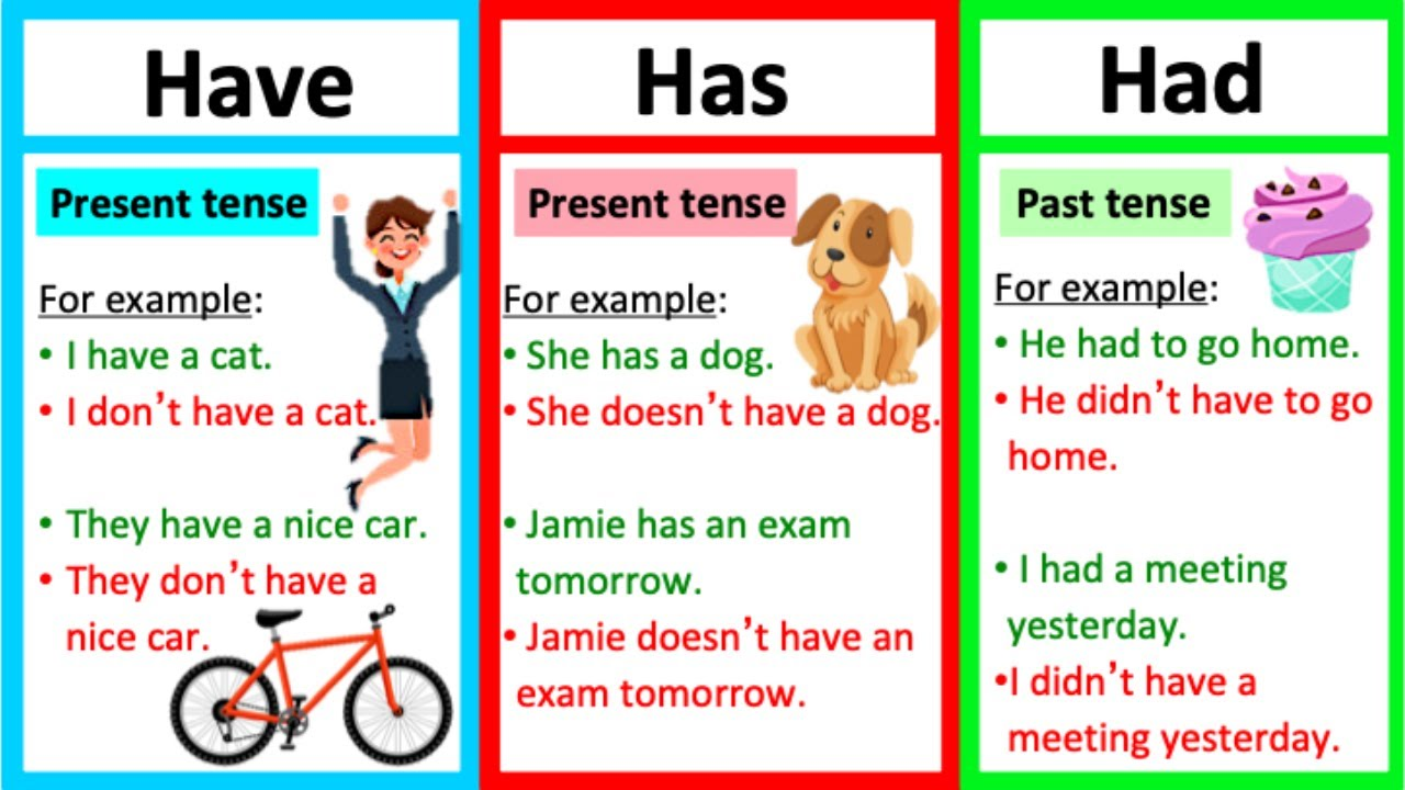 The Definitive Guide to "Has," "Have," and "Had"